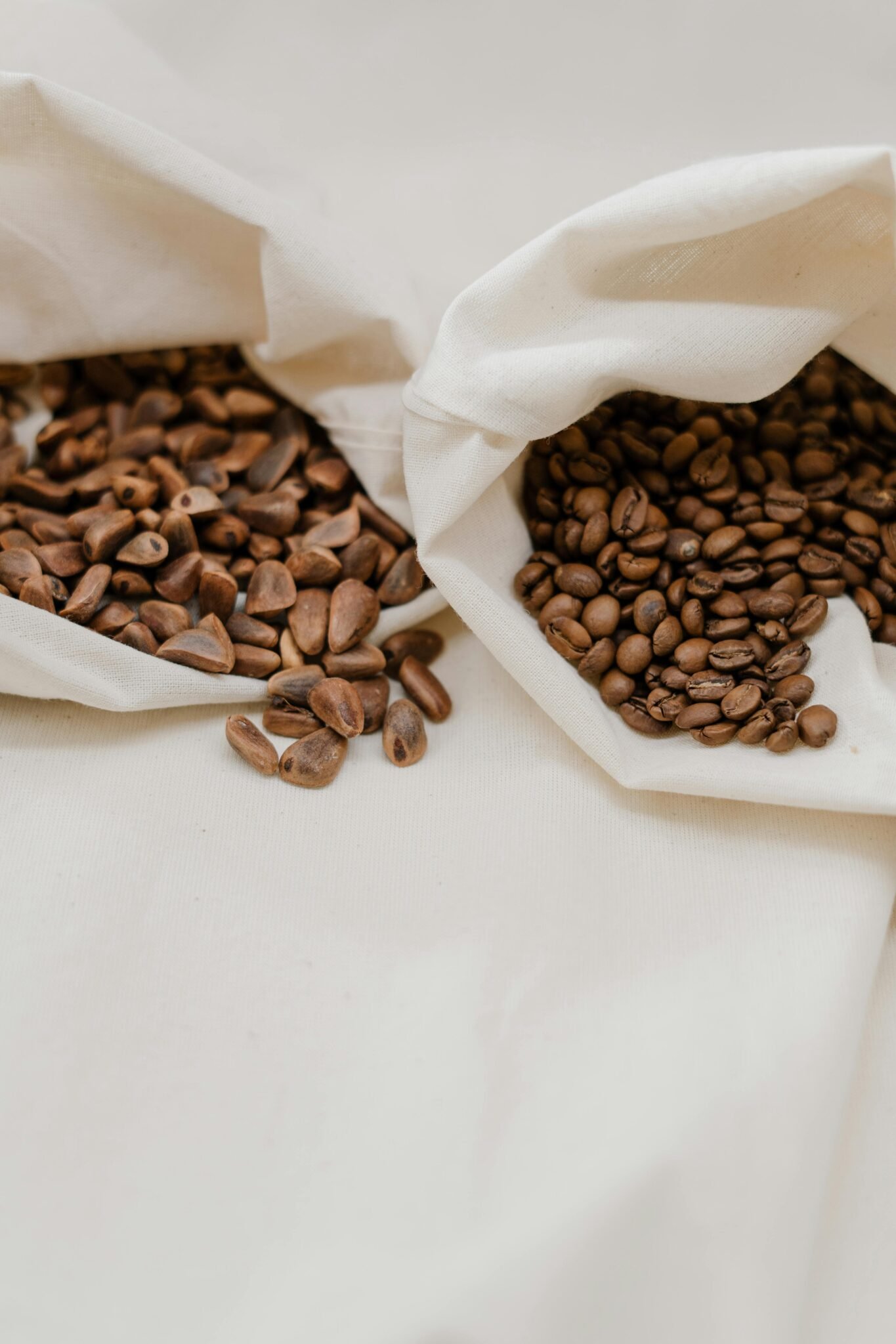 the coffee collect. - The Coffee Collect.